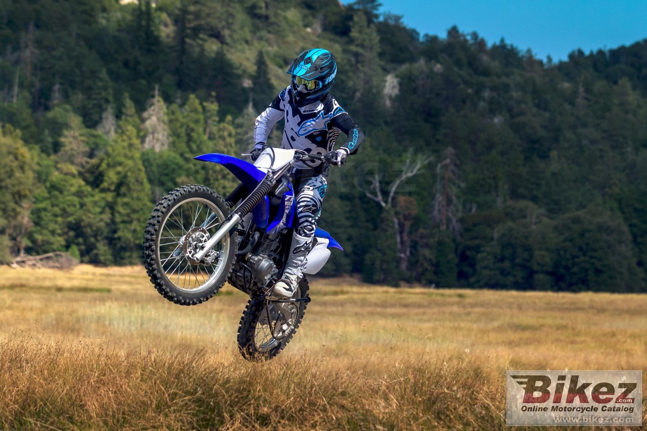 Yamaha TT-R230 poster